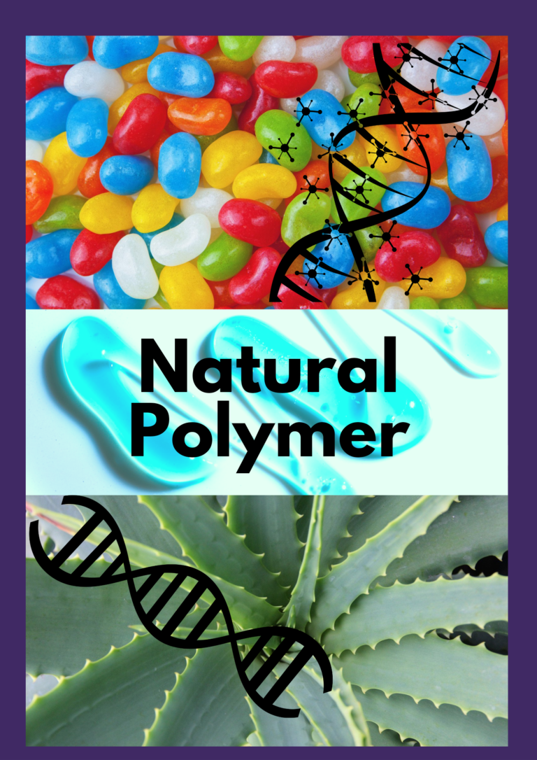 Natural Polymers|ISC CHEMISTRY PROJECT|Biswajit Das ALL ABOUT CHEMISTRY