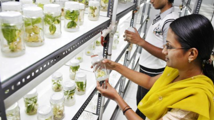 Organic Chemistry in Nutrition, Food Science and Biotechnology|ISC ...