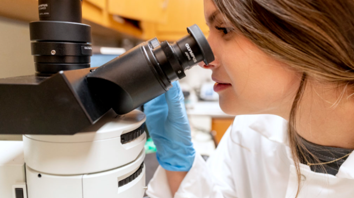 Organic Chemistry in Nutrition, Food Science and Biotechnology|ISC ...