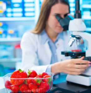 Organic Chemistry in Nutrition, Food Science and Biotechnology|ISC ...