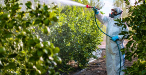 Insecticides, pesticides and chemical fertilizers|ISC Chemistry Project ...