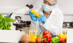 Organic Chemistry in Nutrition, Food Science and Biotechnology|ISC ...